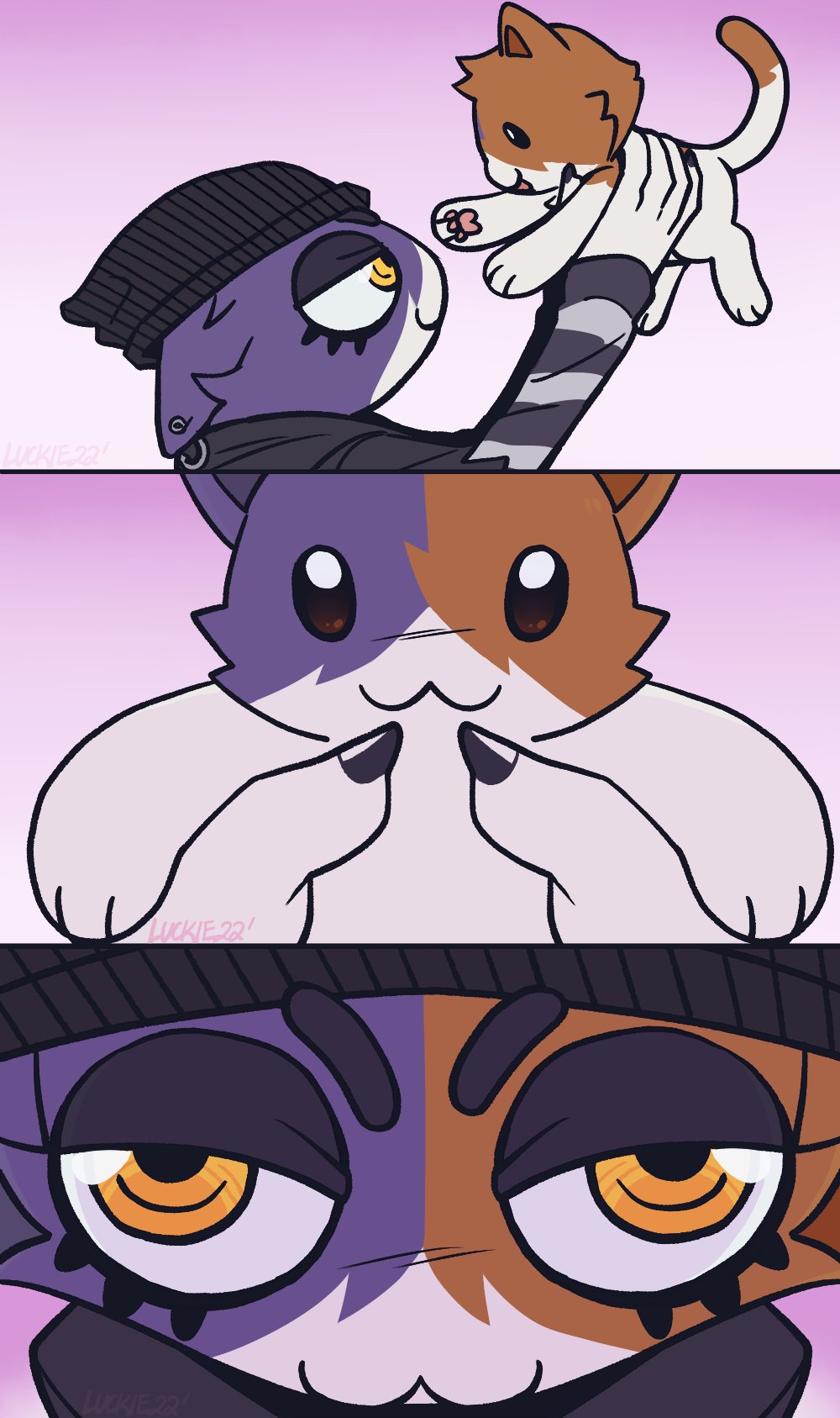 Cat_irl : r/furry_irl Cat_irl : r/furry_irl