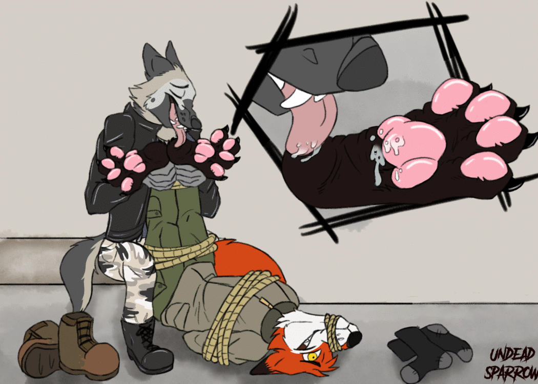 Pool Paws Up E621
