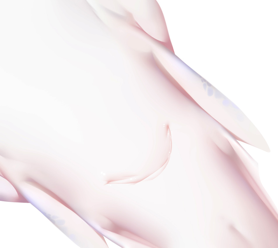 2407673 E621